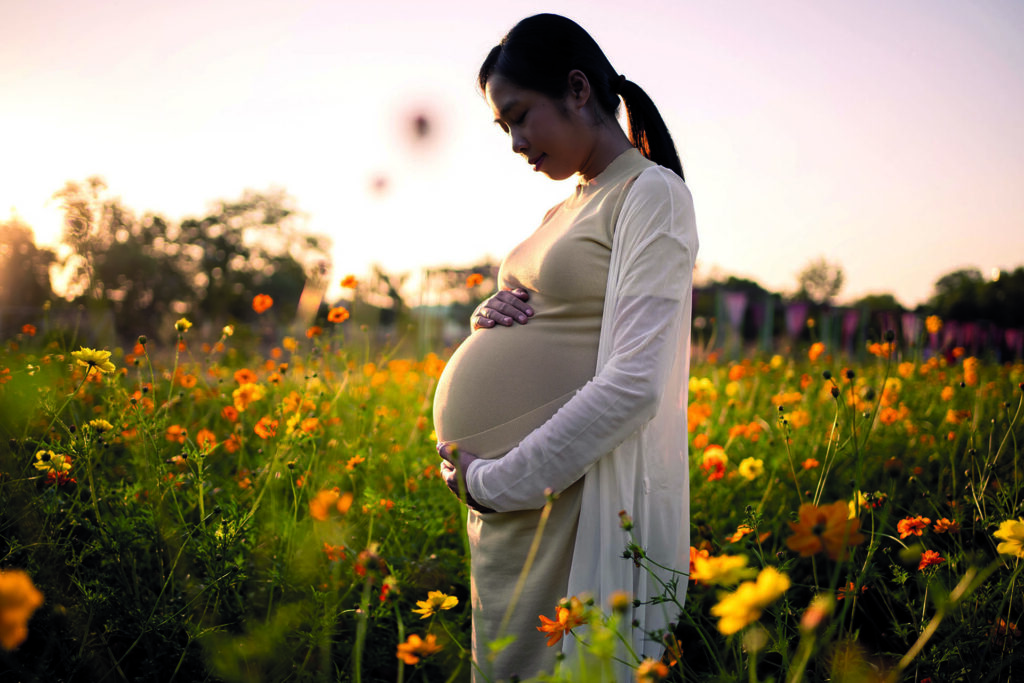 サステナビリティ - Ferring Japan